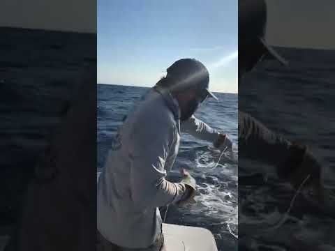105 lb wahoo on a high speed . Hatteras nc aboard the Bite me