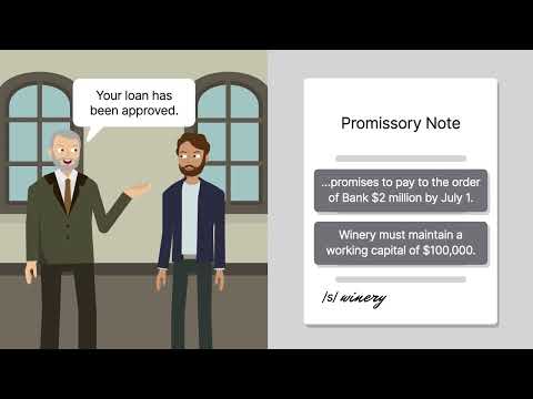 Payment Systems Law | Rule Against Additional Terms | Lesson 4 of 29