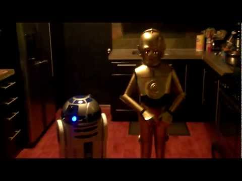 Best C3PO and R2D2 homemade costumes