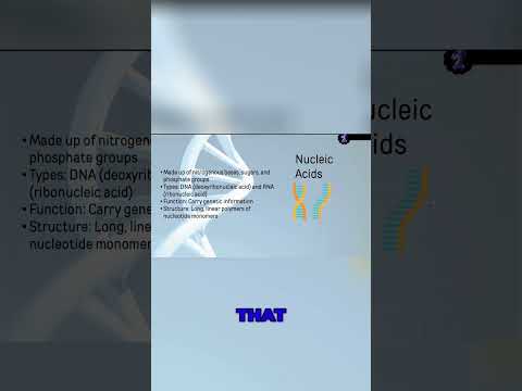 DNA vs RNA: Unveiling the Secrets of Nucleic Acids