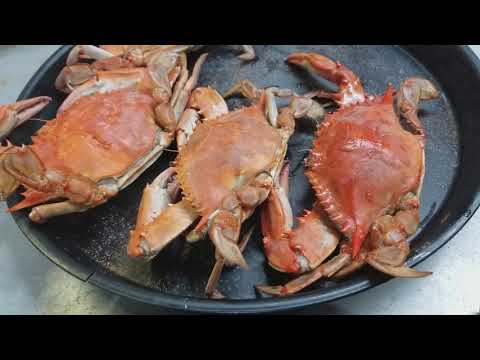 Boiled Crabs at Gator Cove Seafood Restaurant in Lafayette LA