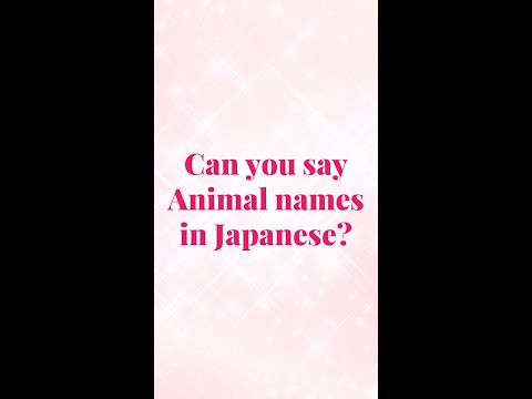 Your kids' favorite Animal names in Japanese! [Japanese vocabulary]
