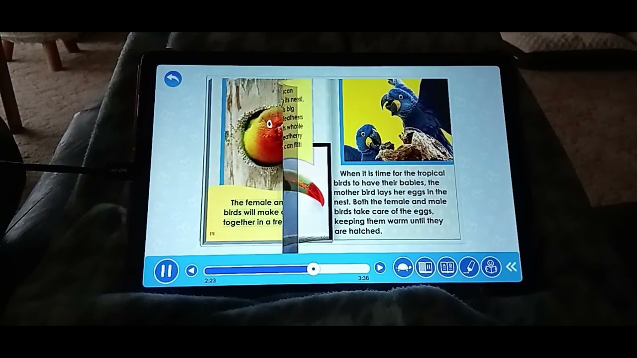 ABC Mouse: All About Tropical Birds