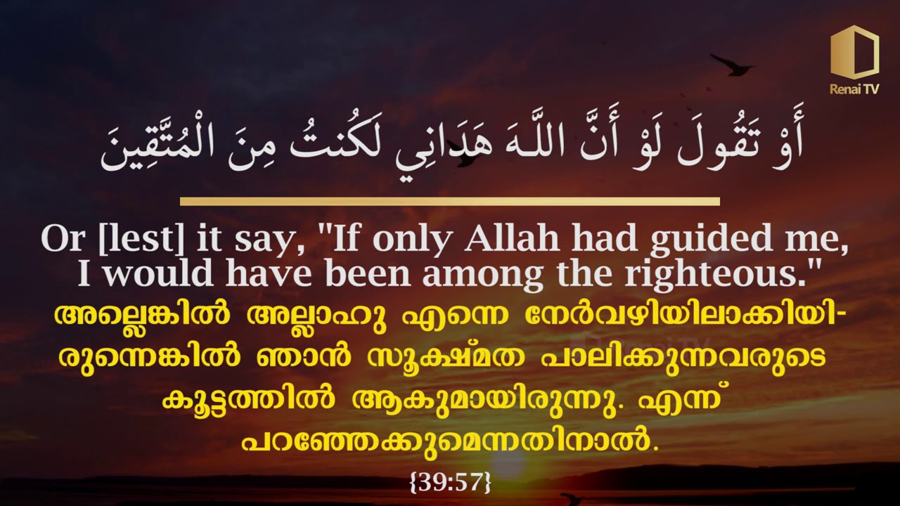 Renai Tarteel Surah Zumar Muaadh bin Nizar