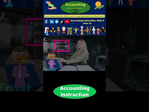 Auditing-What is an audit & why do we need audits