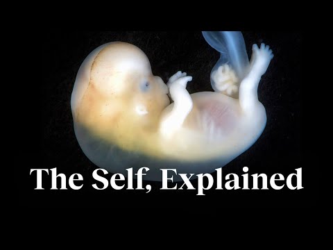 The science of the “self” — explained by a biologist | Michael Levin