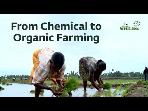 From Chemical to Organic Farming - Isha Agro Movement | Project GreenHands