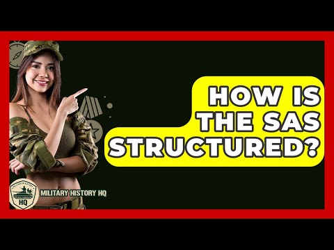 How Is The SAS Structured? - Military History HQ