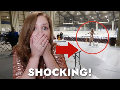 SHOCKING RESULTS! First AKC dog show in 6 years! | Meet the Morgans