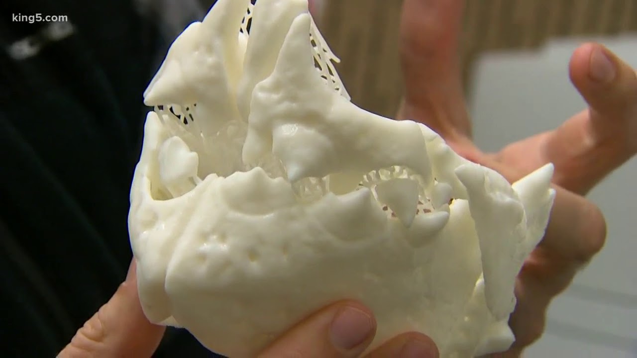 A catalog of fish images