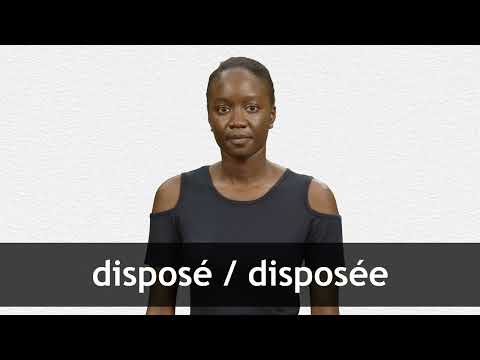 English Translation of “DISPOSÉ” | Collins French-English Dictionary