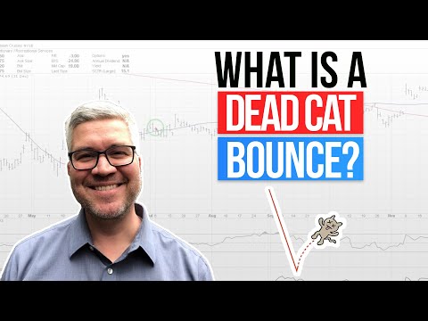 What is a Dead Cat Bounce?