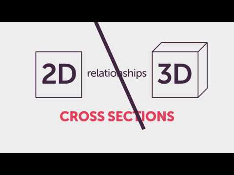 Cross Sections