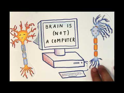 Spinal cord is (not) a bus [BINAC 01]