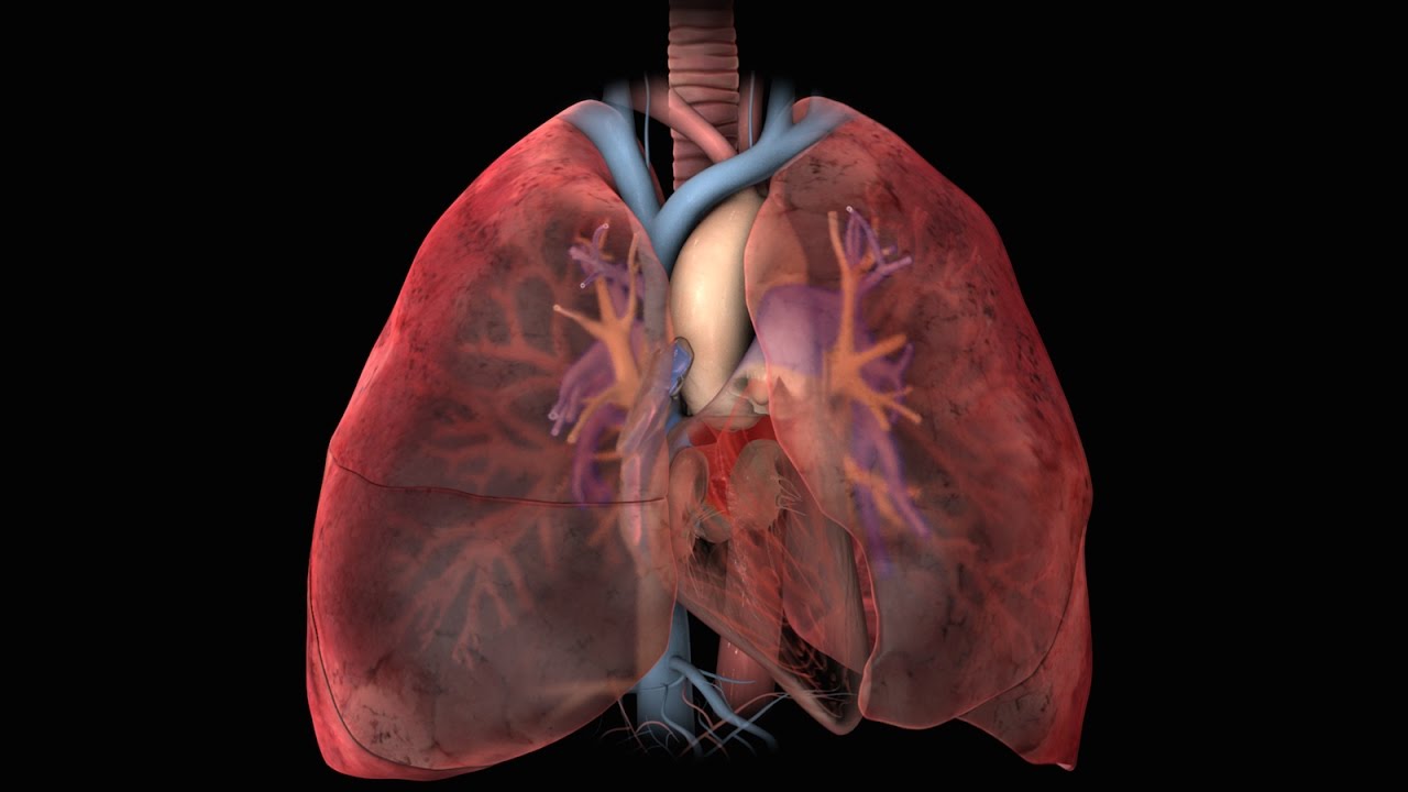 Atrial Fibrillation