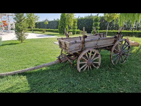 Old Horse Drawn Carriage | Visual Review