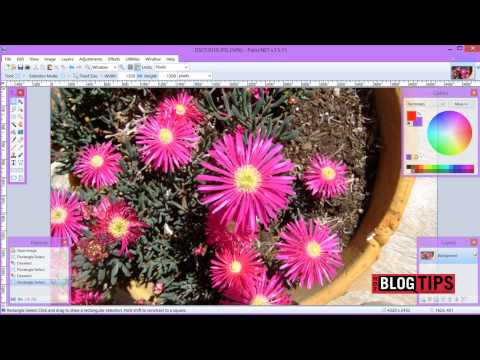 How To Crop an Image in Paint.net