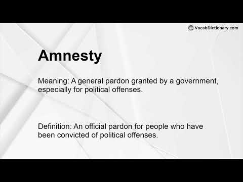 Amnesty Meaning