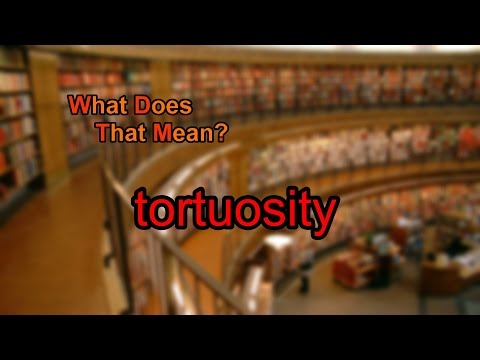 What does tortuosity mean?