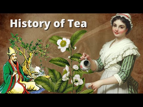 In a Nutshell: The History of Tea