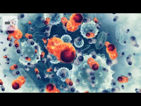 Cancer 101 | What is Cancer?