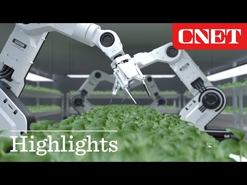 Here’s Why You Shouldn't Be Afraid of Robots Taking Your Job
