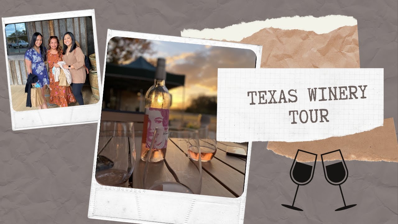 Fredericksburg Texas WINE TOUR!! |Part II: 3 Wineries in ONE DAY!