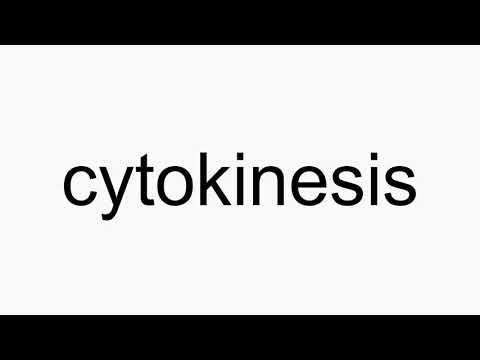 How to pronounce cytokinesis