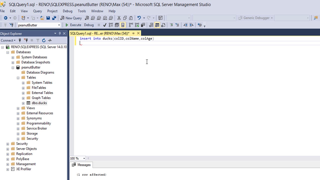 SQL Made Didily: Inserting a row into a Table in SQL