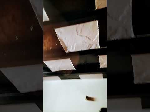 house painting Delhi NCR