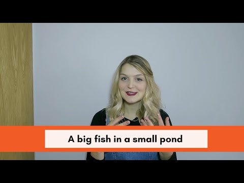 A Big Fish in a Small Pond - Idioms with Izz