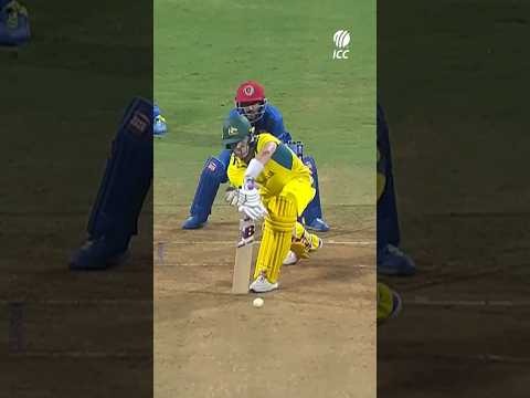 You can always rely on Australia captain Pat Cummins 🇦🇺 #cricket #cricketshorts #ytshorts