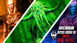 Skyrim SE - Arcanum Boss Rush VI - Triple Boss Rush at Skyrim Special ...