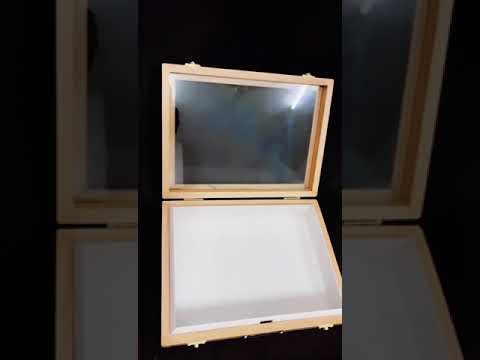 Insect Storage Box - Insect Box Latest Price, Manufacturers & Suppliers