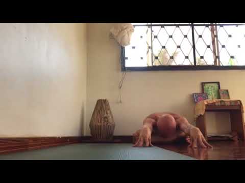Adho Mukha Swastikasana/Auspicious Pose