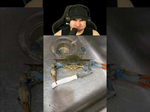 Perfectly timed discord memes! Try not to laugh!
