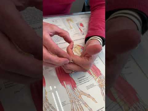 Passive Range of Motion for fingers