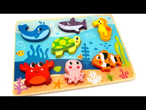 Sea Animal Puzzle | Find The Missing Pieces Activity