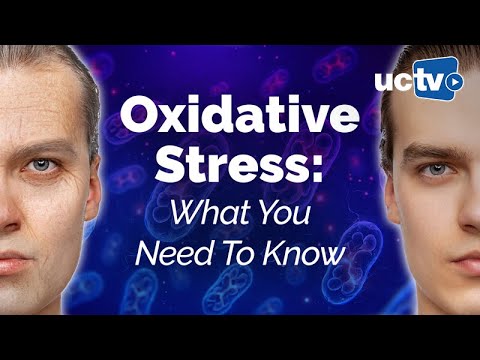 Oxidative Stress: What You Need To Know