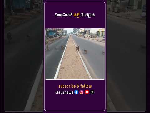 నిజాంపేటలో మళ్లీ మొదలైంది | Medak | Telangana | Way2news Telugu