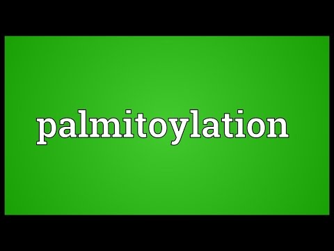 Palmitoylation Meaning