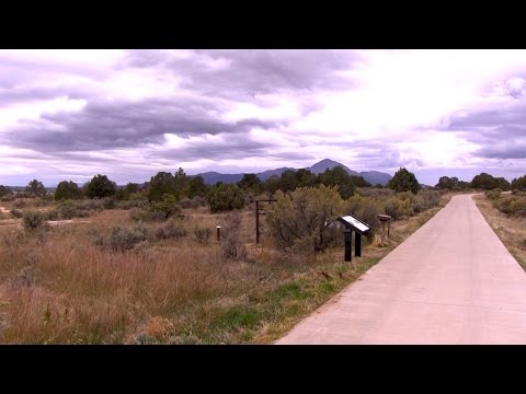 Cortez Oasis