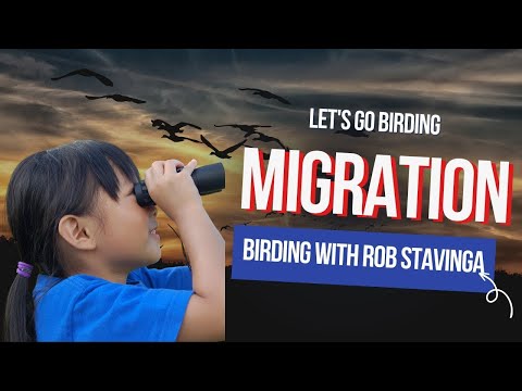 Bird Migration: When, Where and Why Birds Migrate