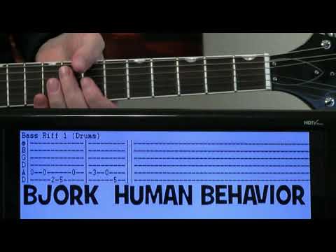 Bjork Human Behavior Guitar Chords Lesson & Tab Tutorial