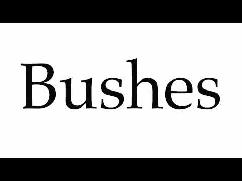 How to Pronounce Bushes