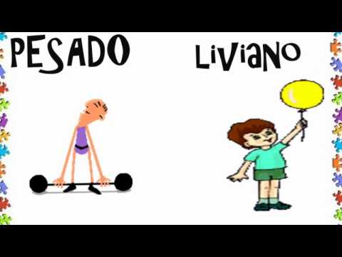 TOMi.digital - Liviano y Pesado