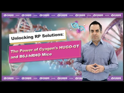 Unlocking RP Solutions: The Power of Cyagen's HUGO-GT and B6J-hRHO Mice