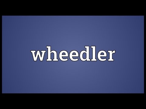 Wheedler Meaning
