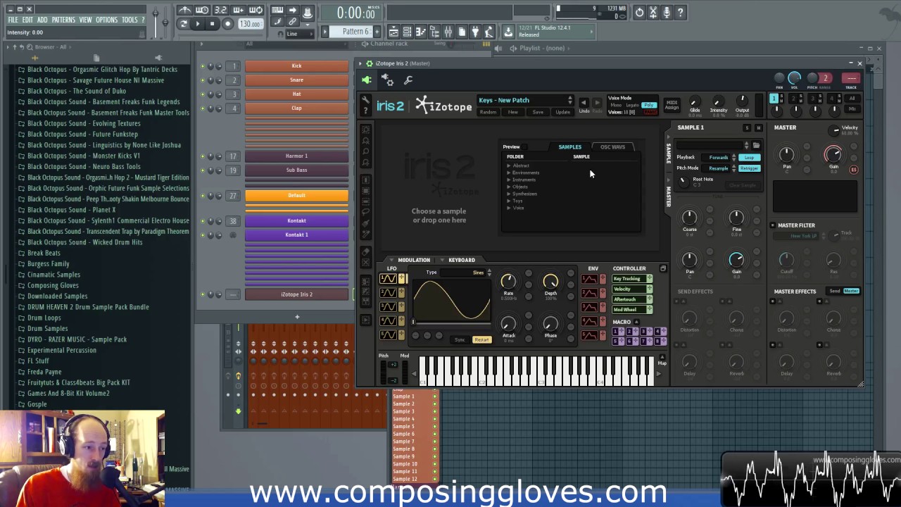 Learn Iris 2 - 3 - Loading Patches and Samples