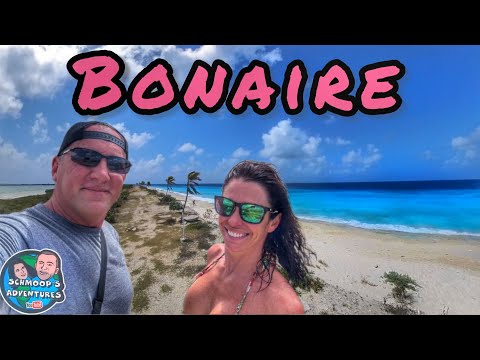 Bonaire in a Day